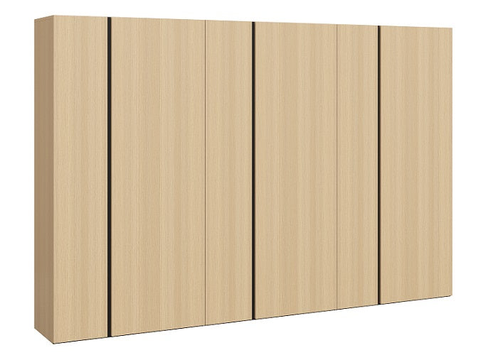 Shadowline Cupboard 2 Door – Applied Furniture